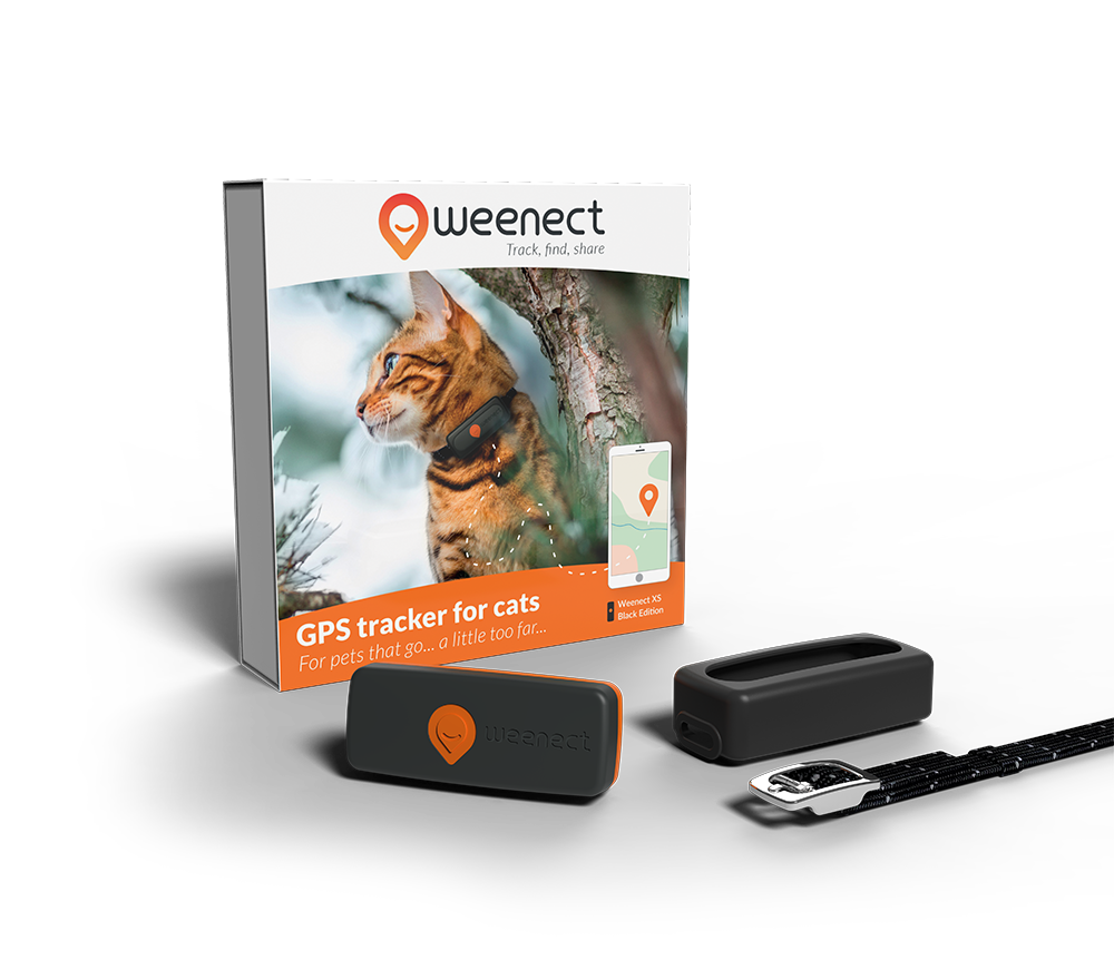 Code Promo Weenect 2024